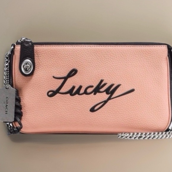 COACH X Stuart Vevers | Bags | Coach Unreleased Rare 25 Fall Runway ...